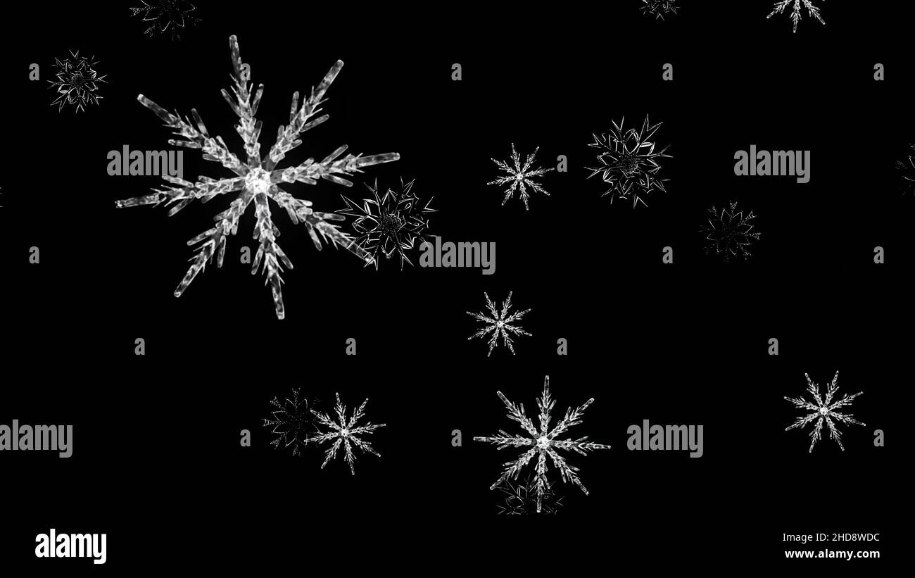 Motion background seamless loop hd design element abstract alpha hi-res ...