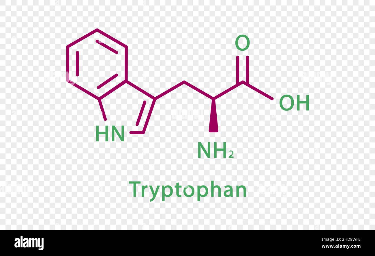 Tryptophan chemical formula. Tryptophan structural chemical formula ...