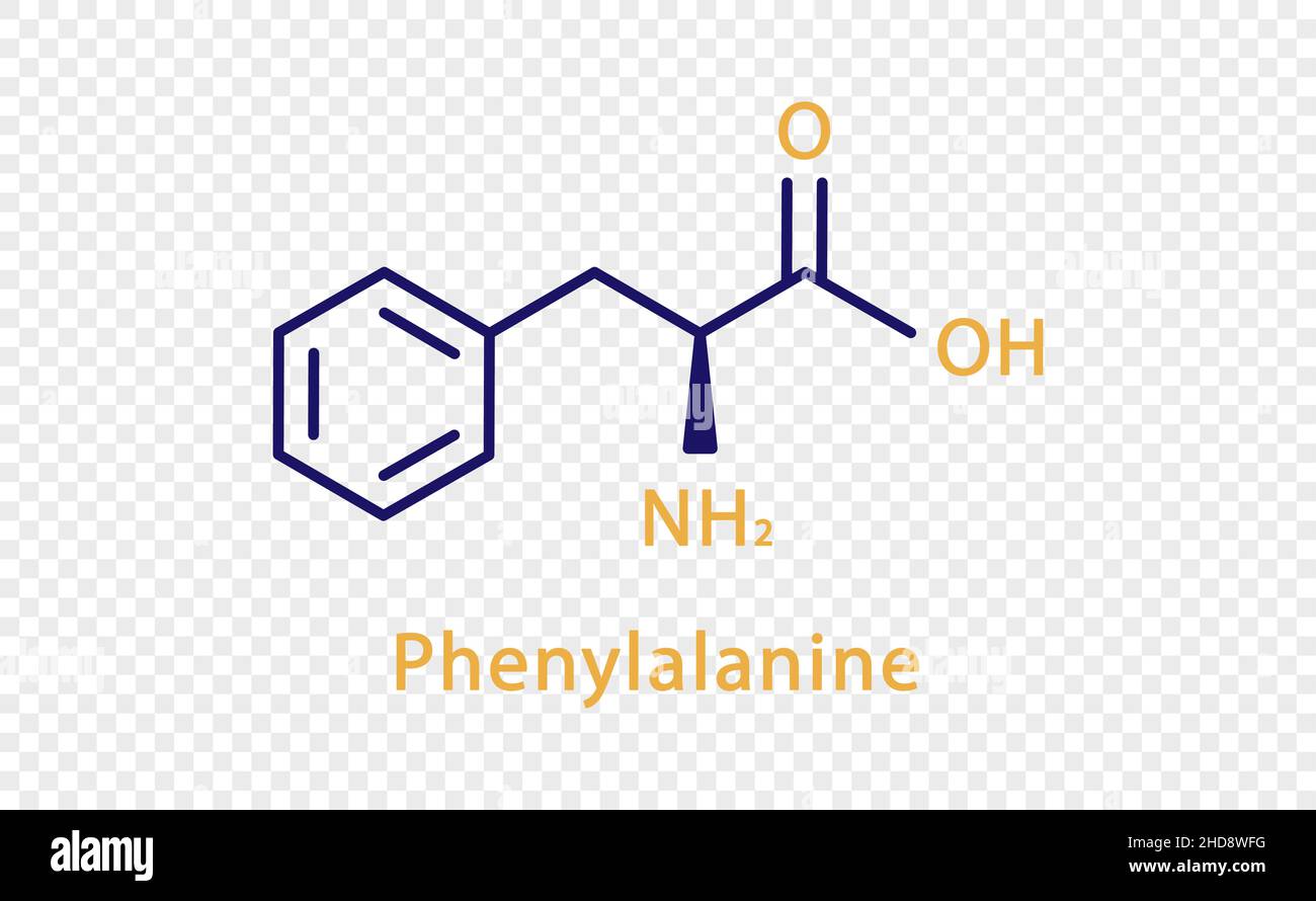 Phenylalanine Amino Acid Symbol