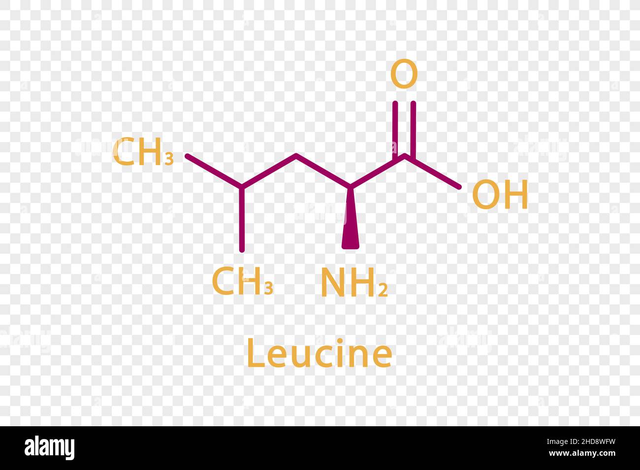 Leucine chemical formula. Leucine structural chemical formula isolated ...
