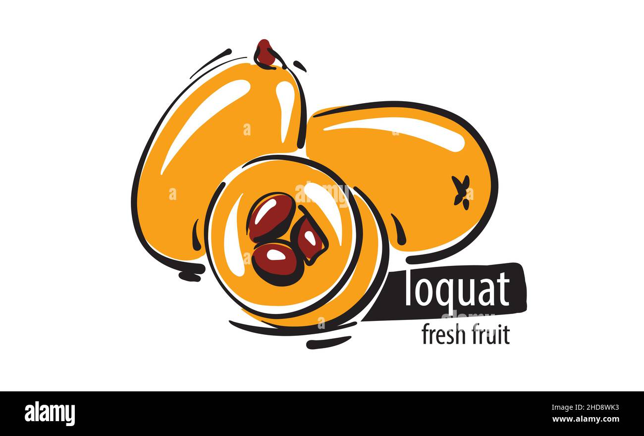 Loquat vector hi-res stock photography and images - Alamy