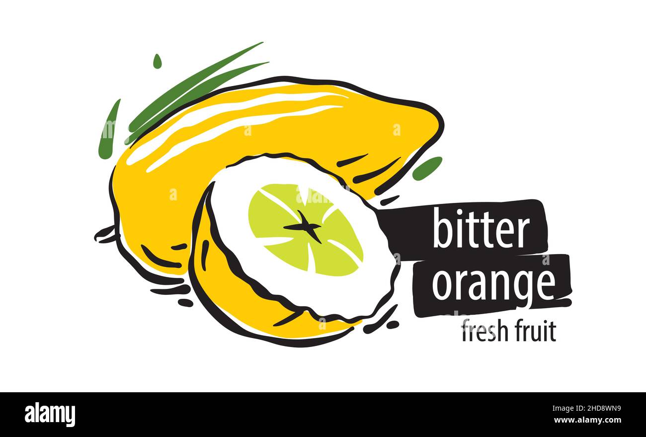 Drawn vector bitter orange on a white background Stock Vector Image ...
