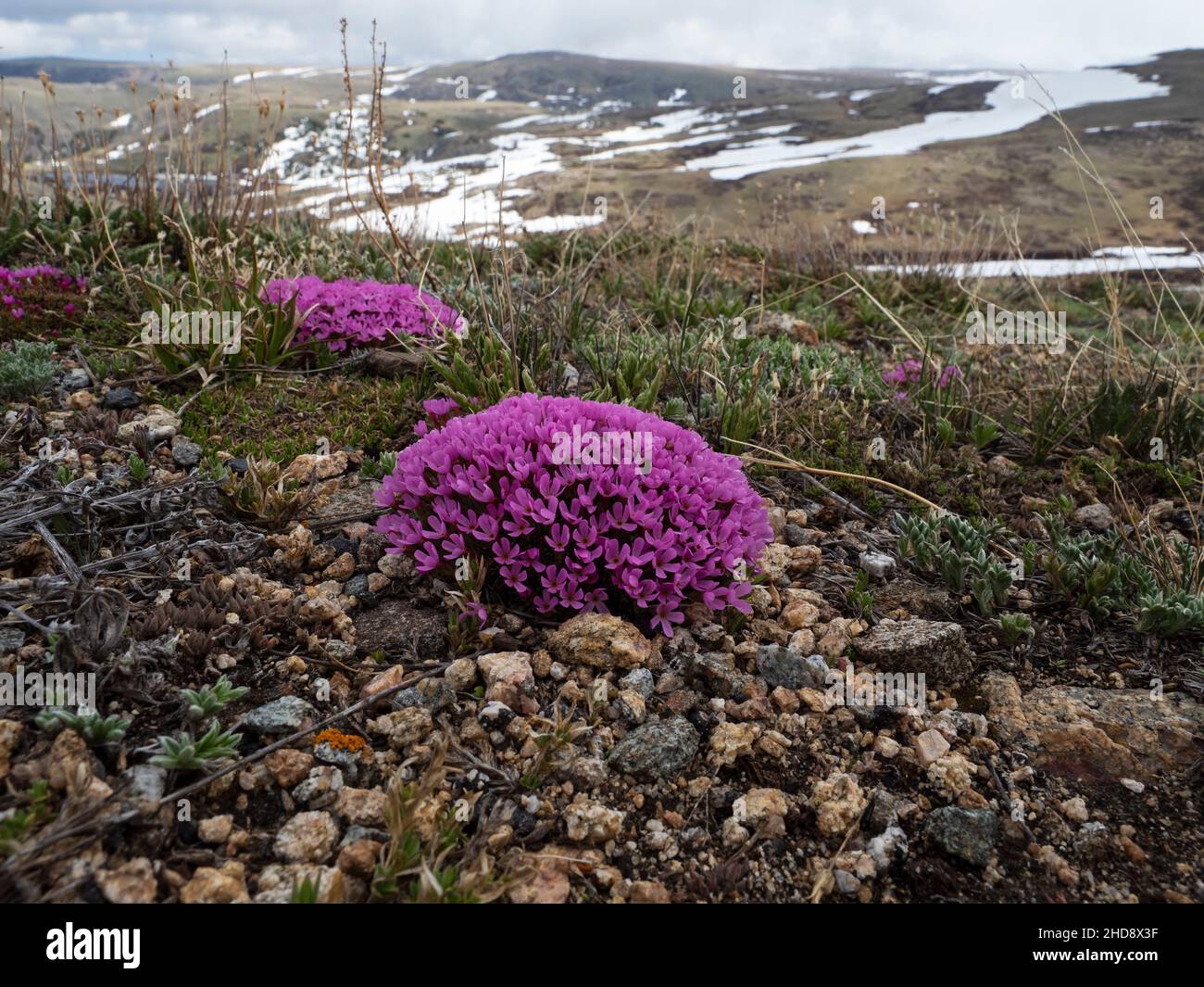 Beside the bear tooth all american road hi-res stock photography and ...