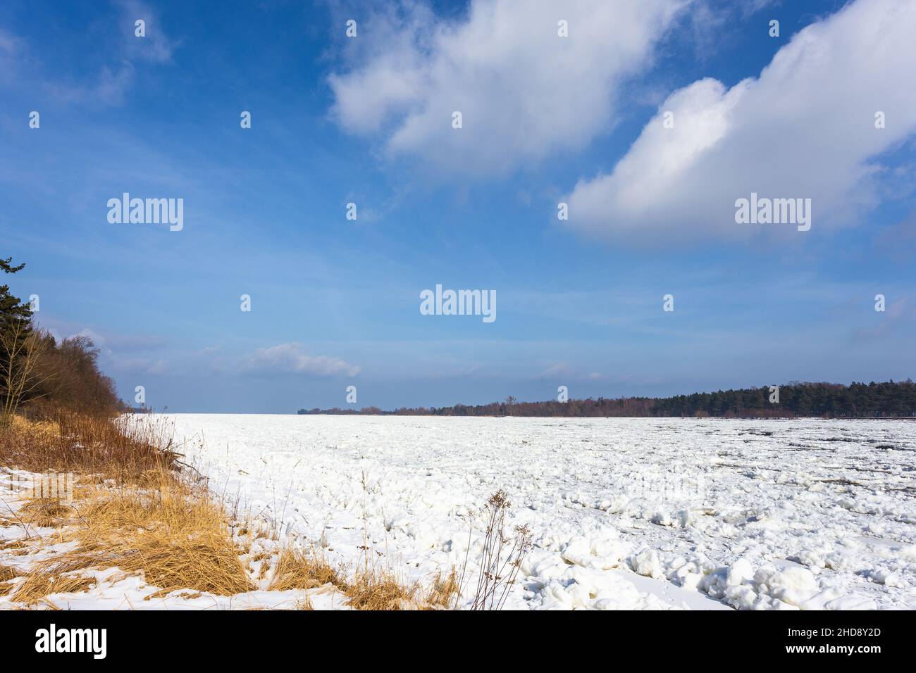 A view of the estuary of the Vistula river in winter. Flowing ice floe ...