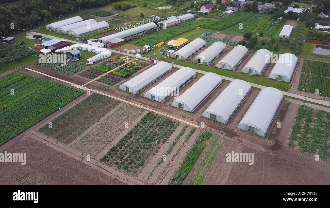 Farm workers getting ready for growing vegetables, fruits and herbs ...