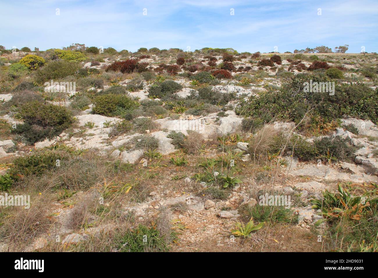 countryside in malta Stock Photo - Alamy