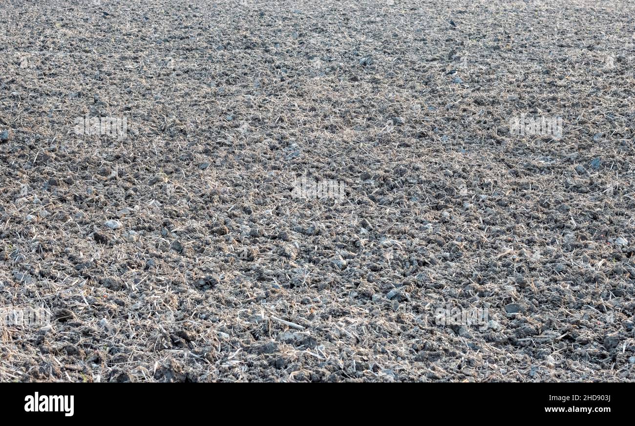 Loose soil hi-res stock photography and images - Alamy