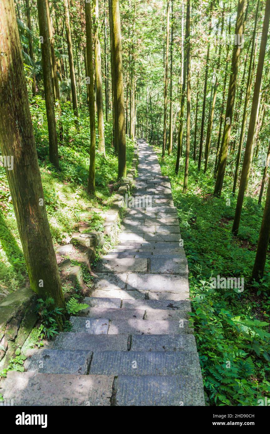 Hiking path in Zhangjiajie National Forest Park in Hunan province ...