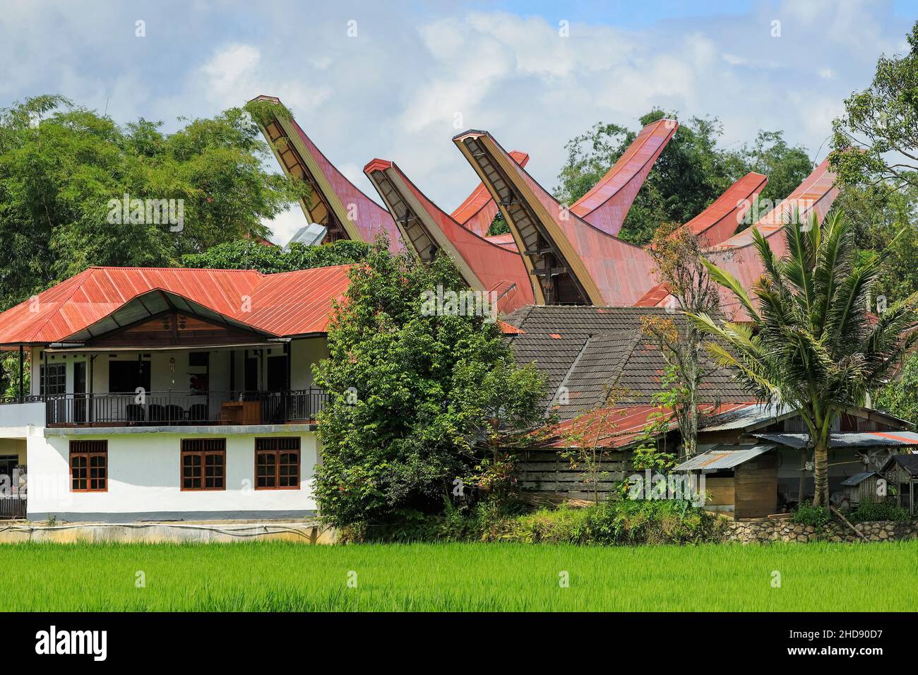 Traditional saddleback roof tongkonans (family rice barns & houses ...