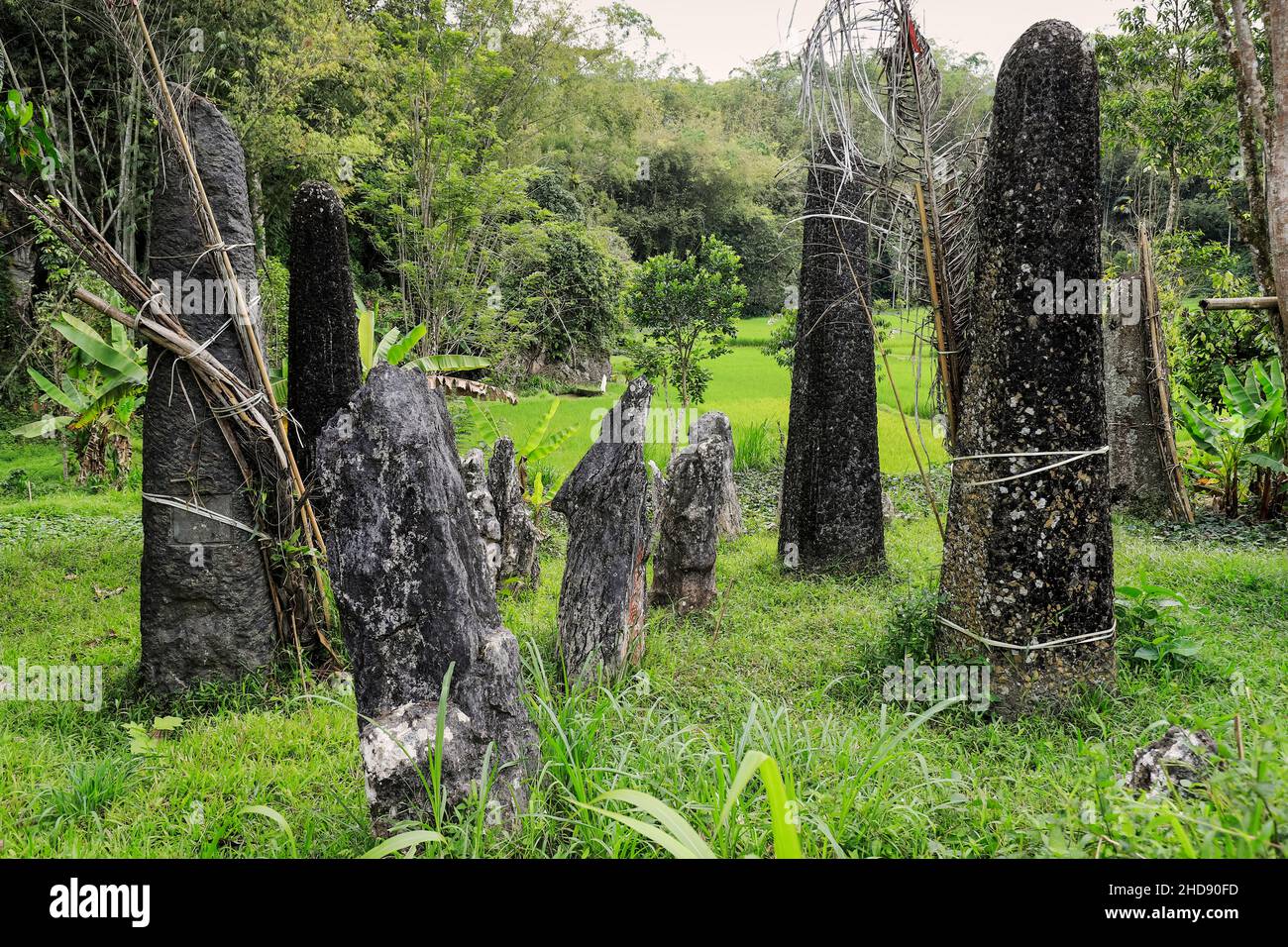 Rante sirrin hi-res stock photography and images - Alamy