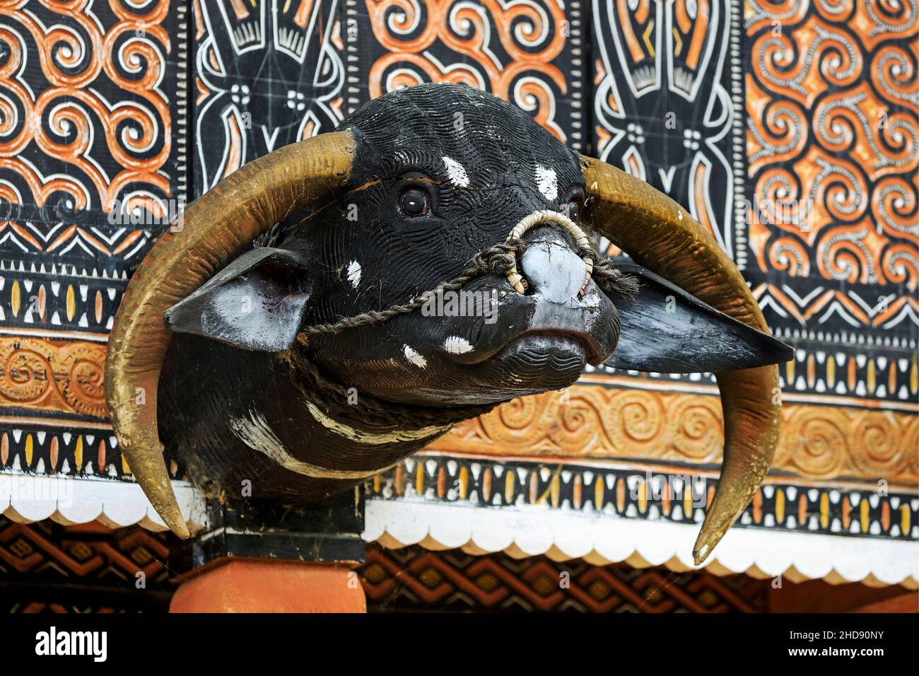 Real horns hi-res stock photography and images - Alamy