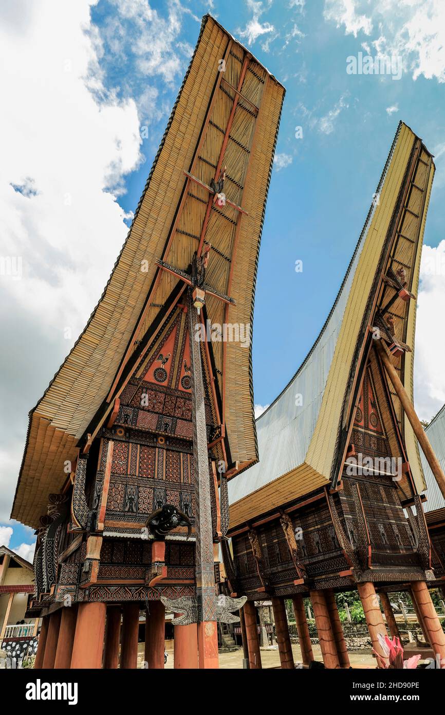 Traditional saddleback roof tongkonans (family rice barns & houses ...