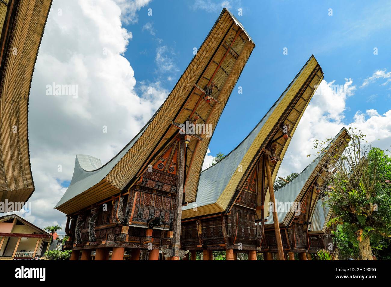 Traditional saddleback roof tongkonans (family rice barns & houses ...