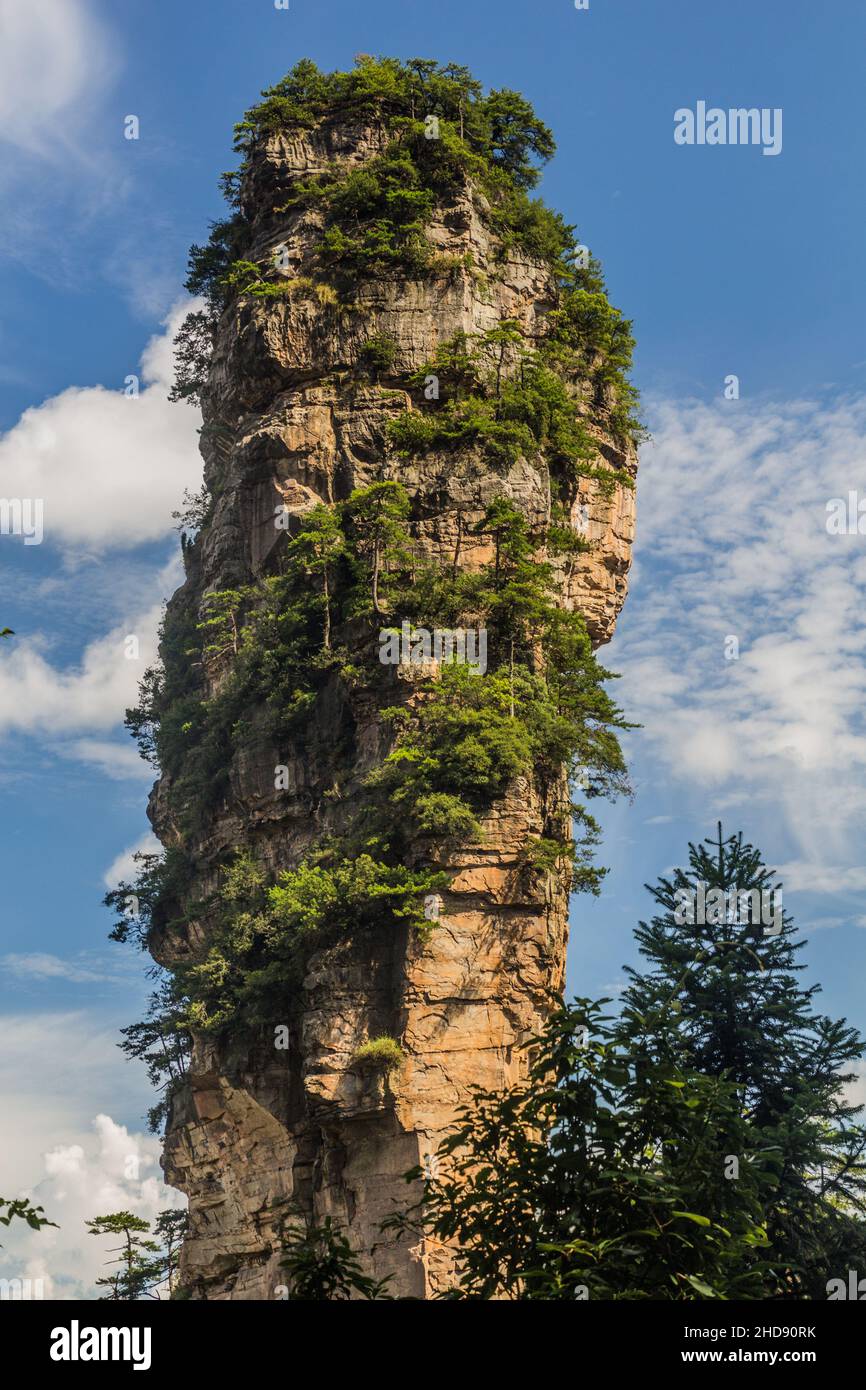 Rocky pinnacle in Zhangjiajie National Forest Park in Hunan province ...