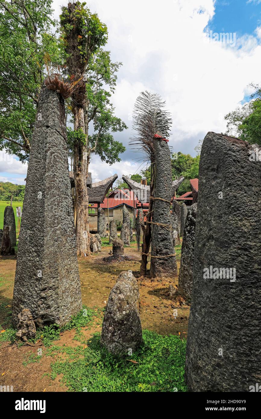 Bori Kalimbuang UNESCO megalithic burial site with 102 menhirs, a ...