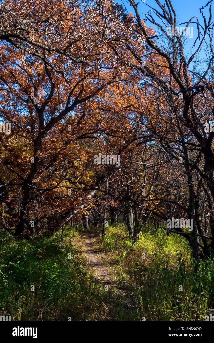 Iowa Autumn Wallpapers