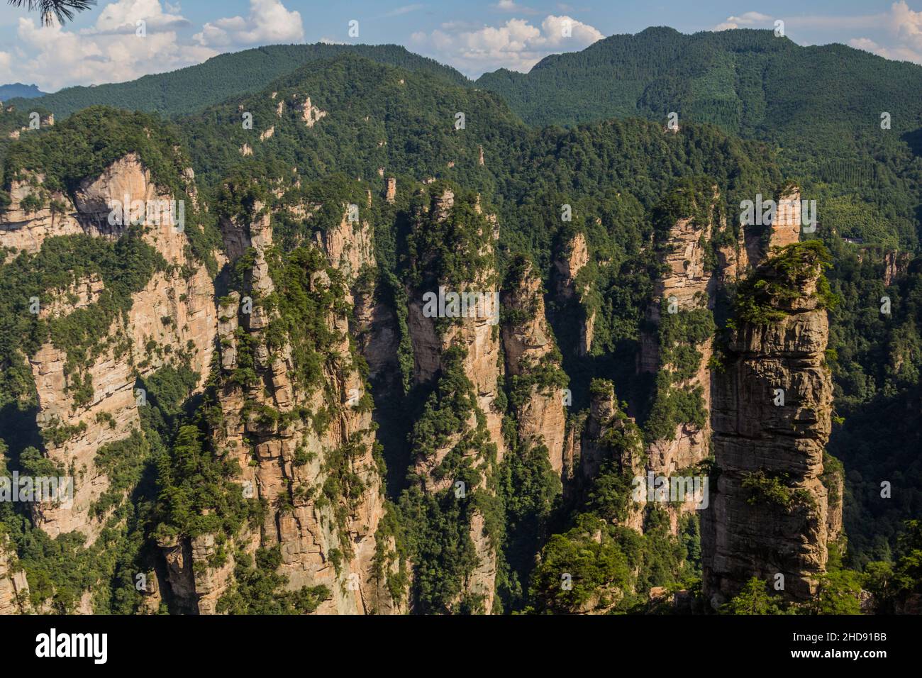 Rocky pillars in Zhangjiajie National Forest Park in Hunan province ...