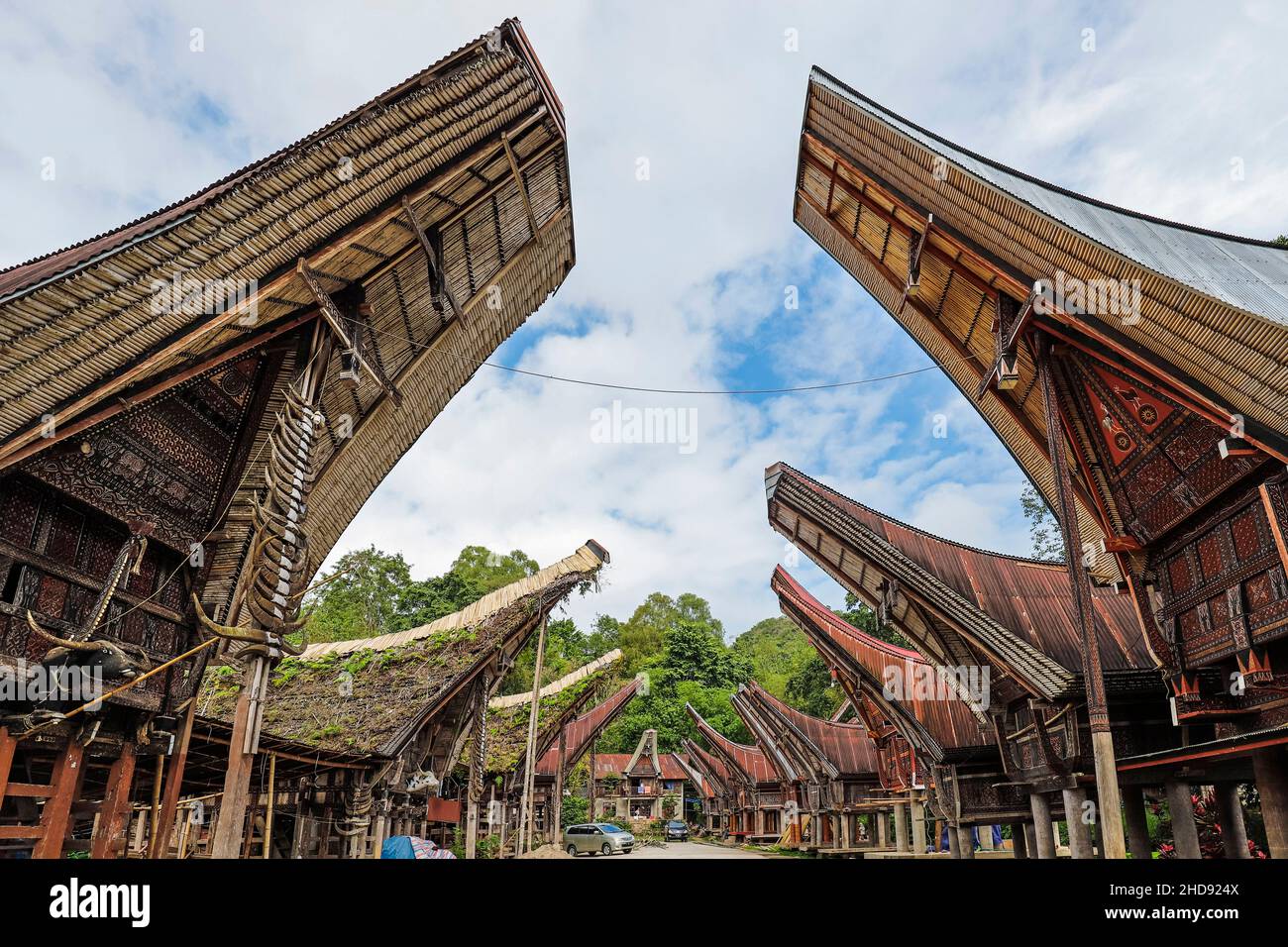 Saddleback roof tongkonans (rice barns & houses) in a high status ...