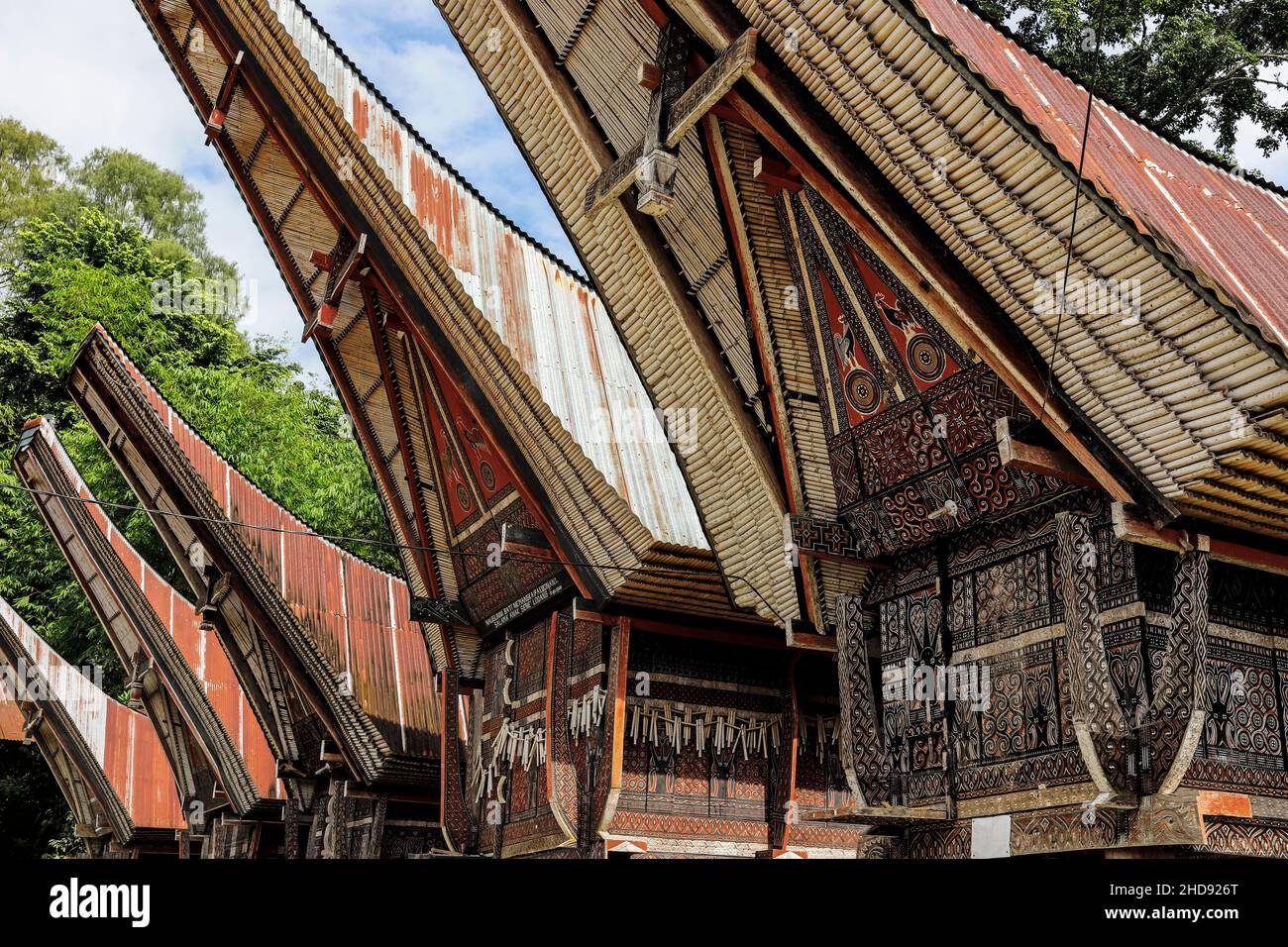 Saddleback roof tongkonans (rice barns & houses) in a high status ...