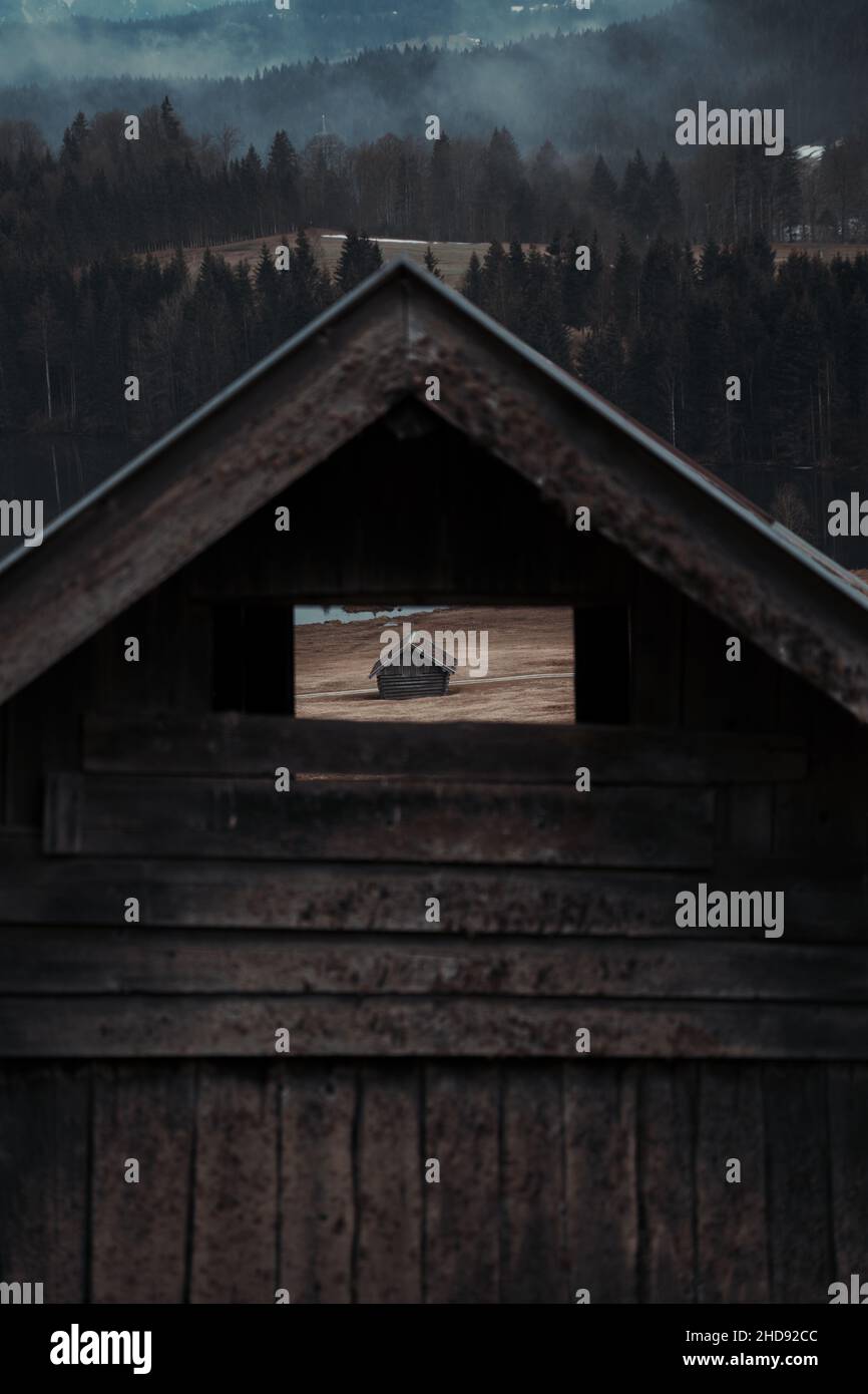 Vertical shot of a wooden hut in a forest Stock Photo - Alamy