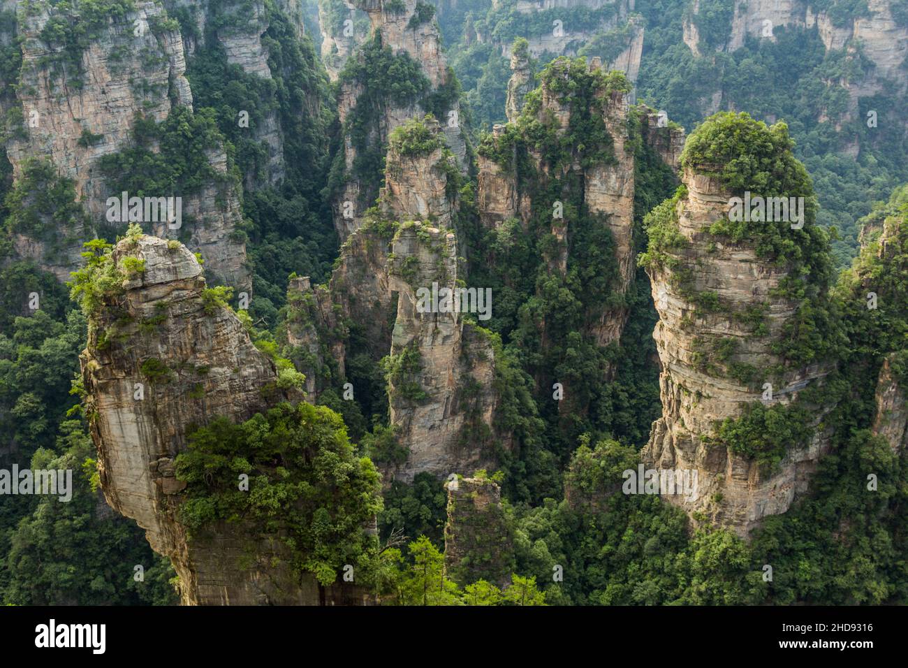 Sandstone formations of Wulingyuan Scenic and Historic Interest Area in ...
