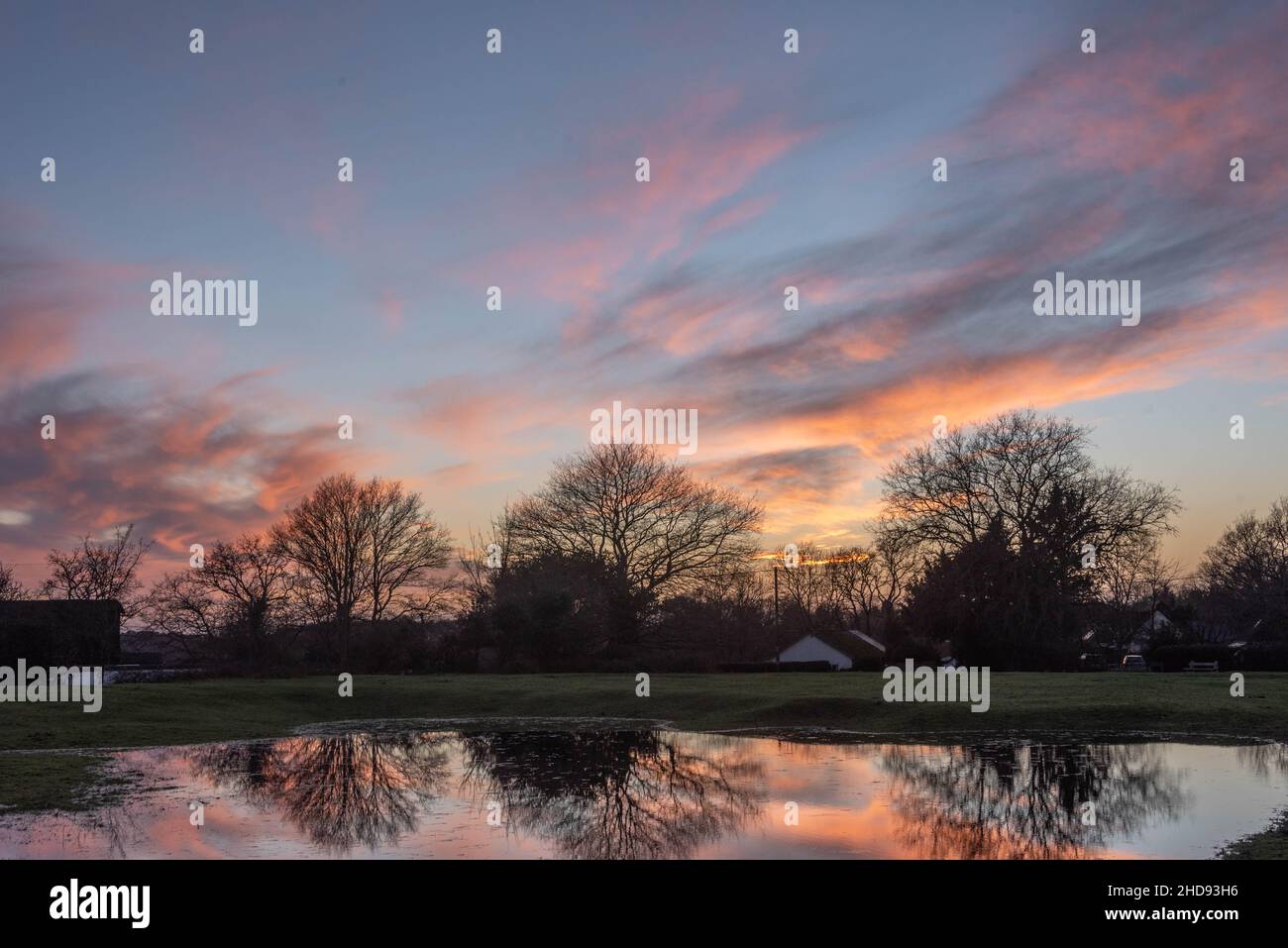 New Forest dusky skies Stock Photo - Alamy