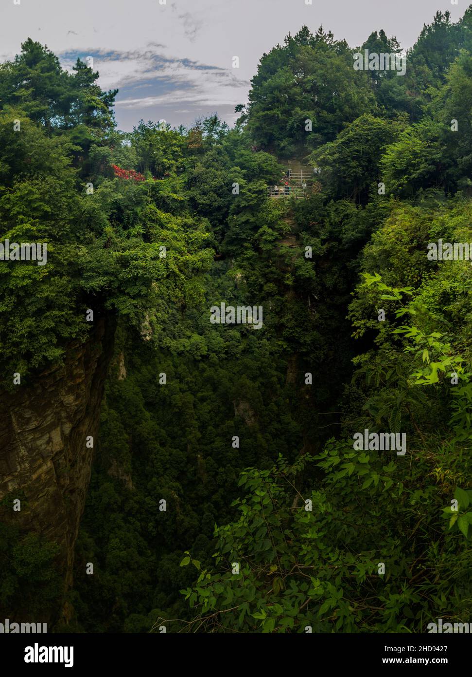 Natural rock bridge in Wulingyuan Scenic and Historic Interest Area in ...