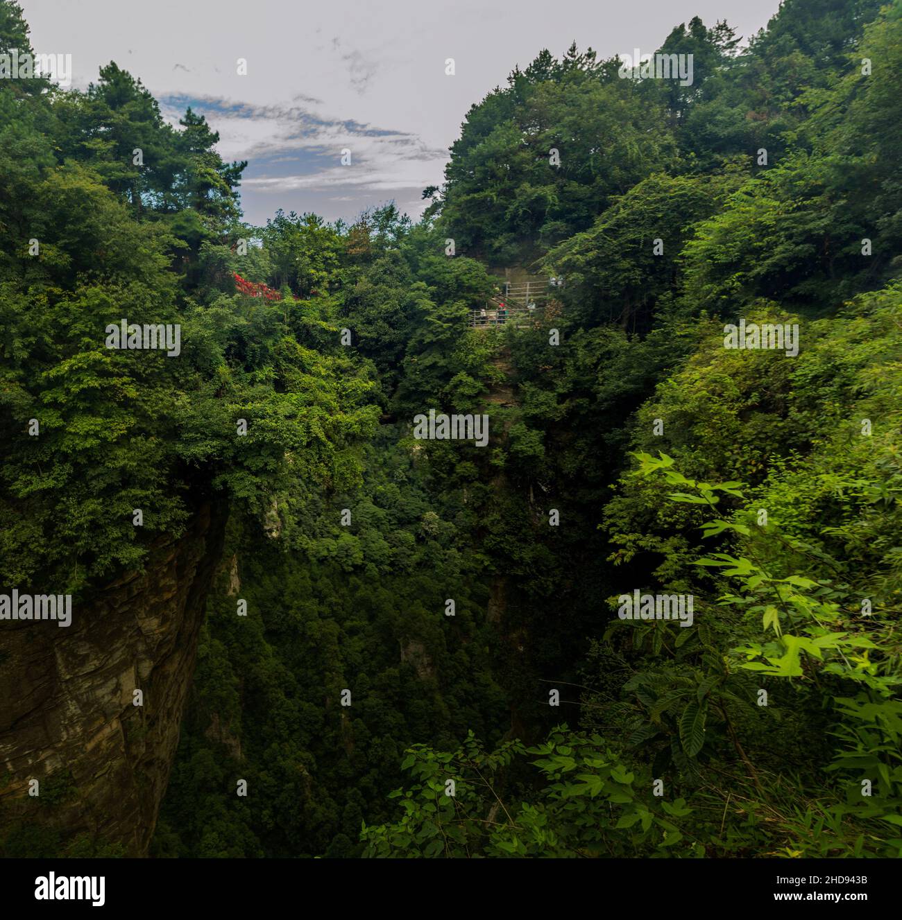 Natural rock bridge in Wulingyuan Scenic and Historic Interest Area in ...