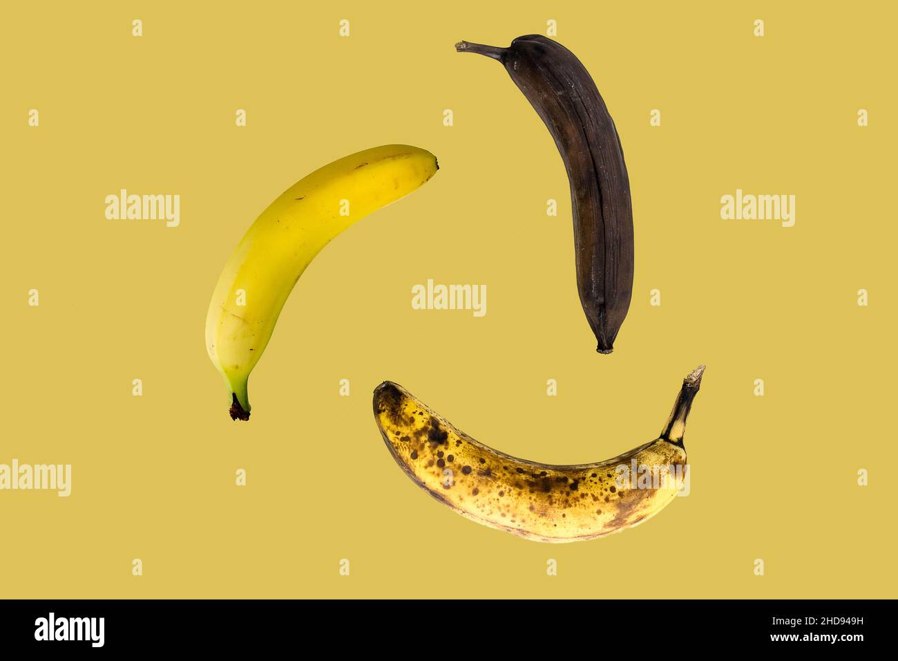 Banana ripeness level, from fresh to rotten on yellow background Stock ...