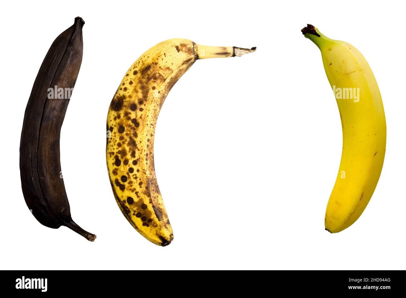 Banana ripeness level, from fresh to rotten on white background Stock ...