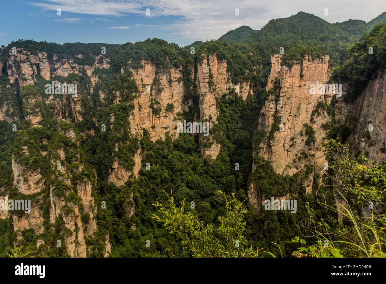 Sandstone pillars in Wulingyuan Scenic and Historic Interest Area in ...