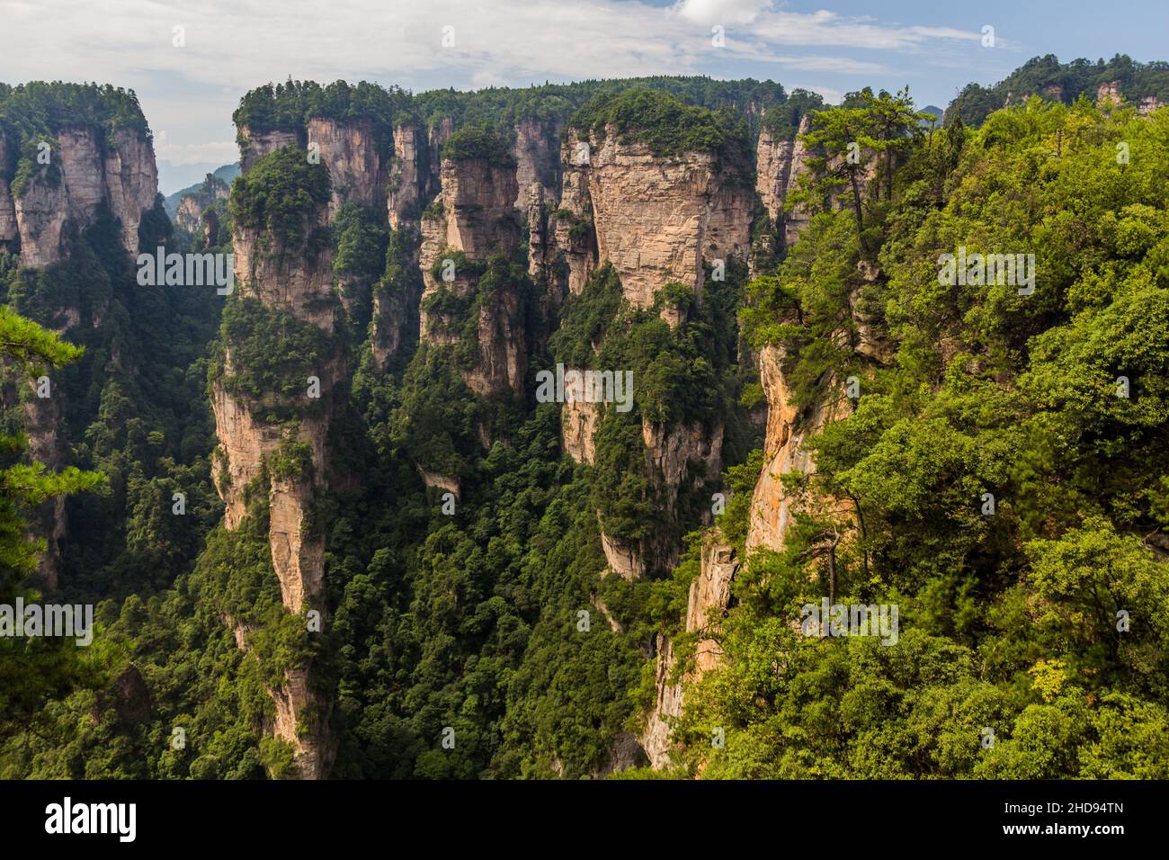 Sandstone pillars in Wulingyuan Scenic and Historic Interest Area in ...