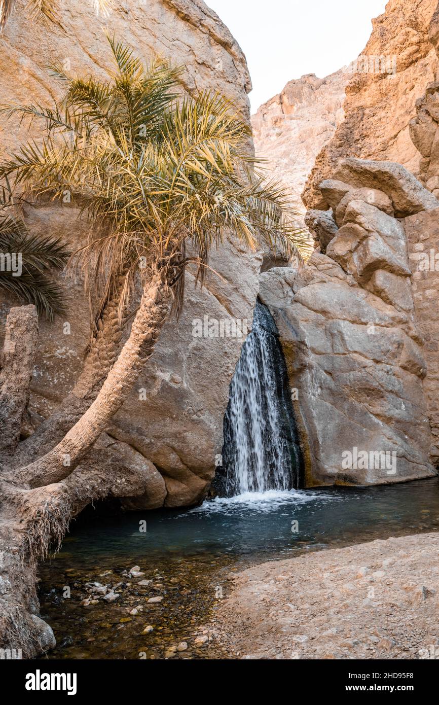 Oasis background hi-res stock photography and images - Alamy