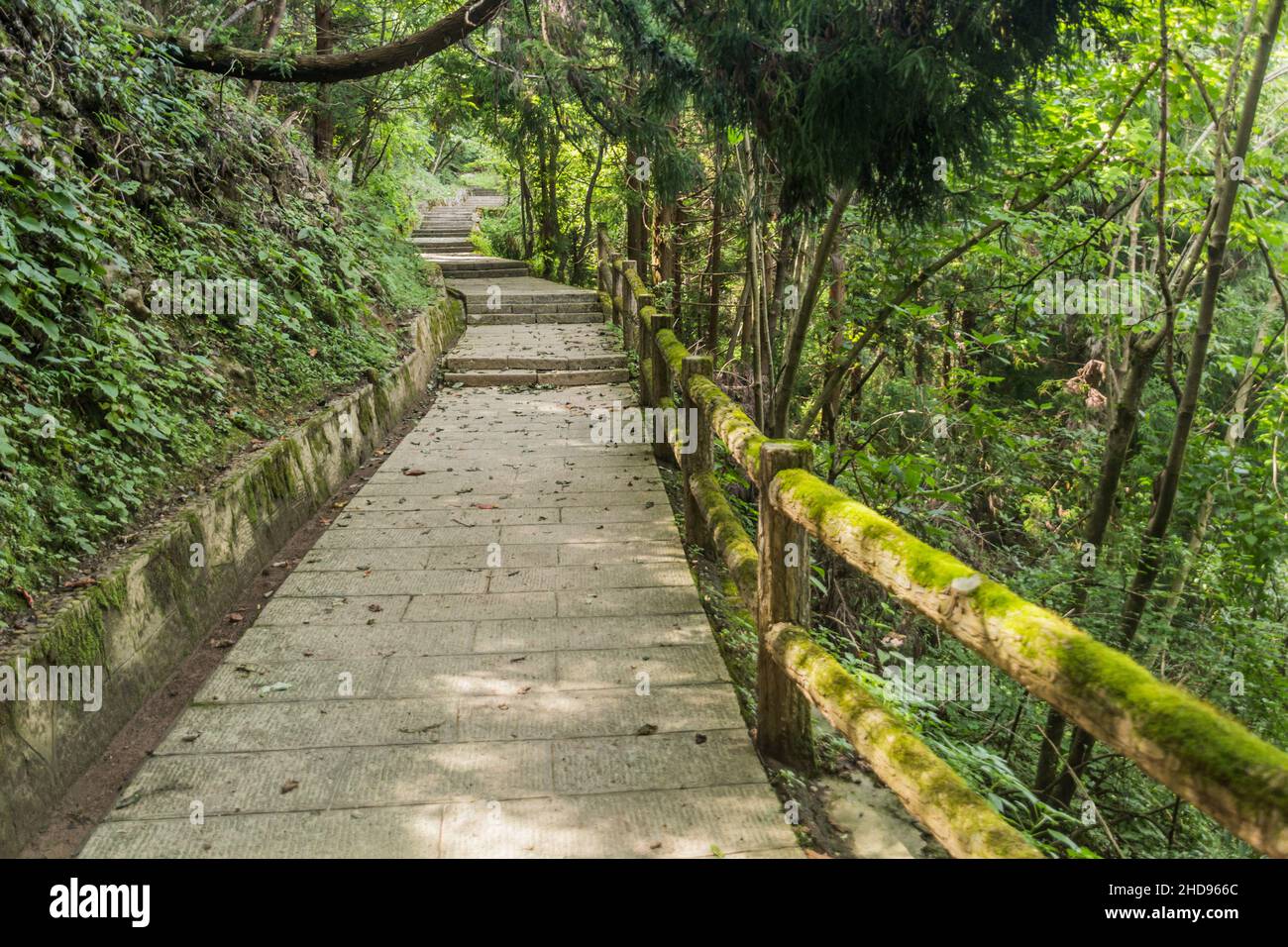 Walking path in Wulingyuan Scenic and Historic Interest Area in ...