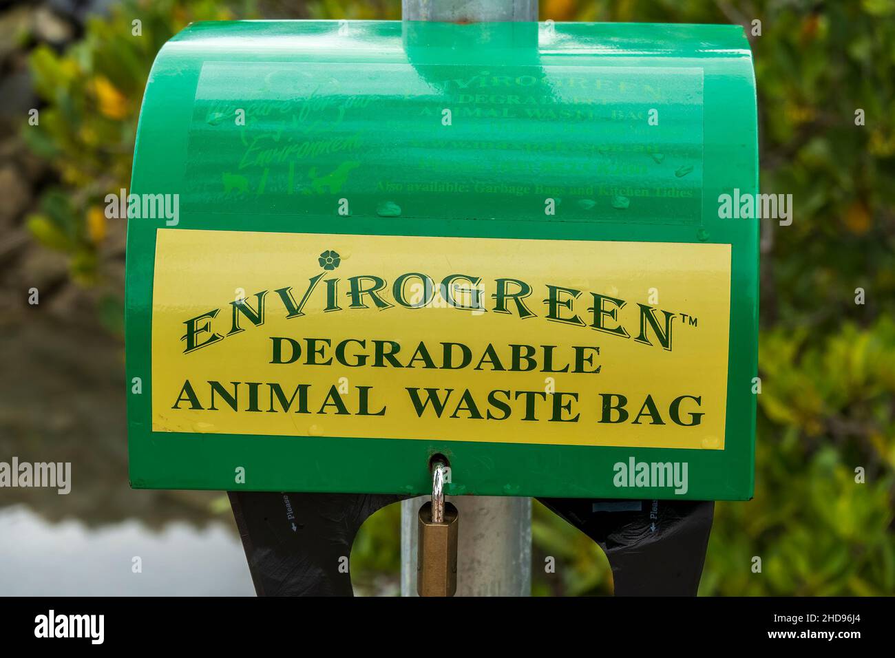 Airlie Beach, Queensland, Australia - January 2022: Metal green and ...