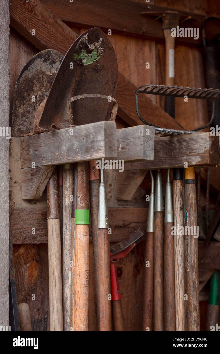 Vertical shot wooden shed hi-res stock photography and images - Alamy