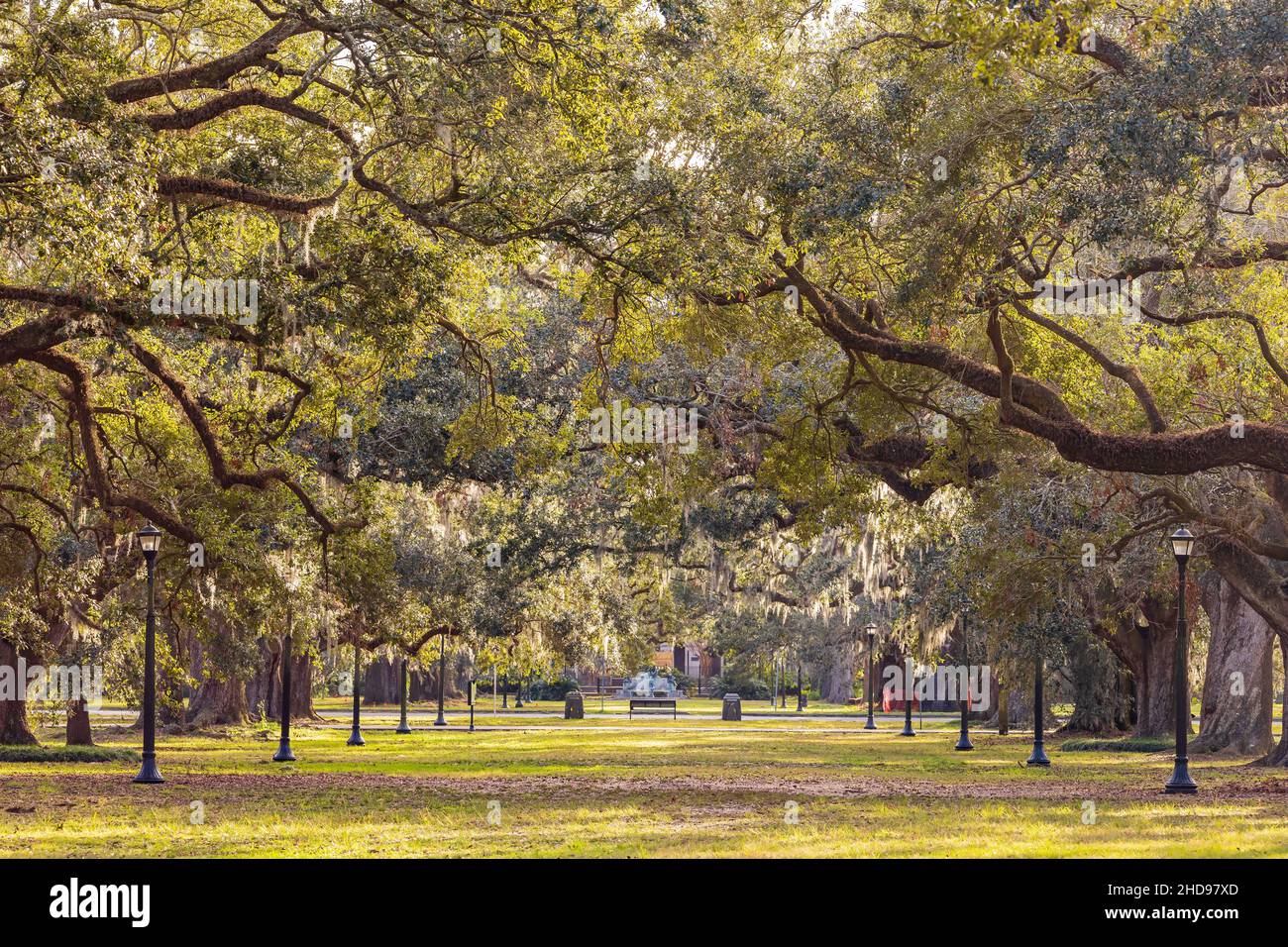 Overcast landsacpe of the Audubon Park at Louisiana Stock Photo - Alamy