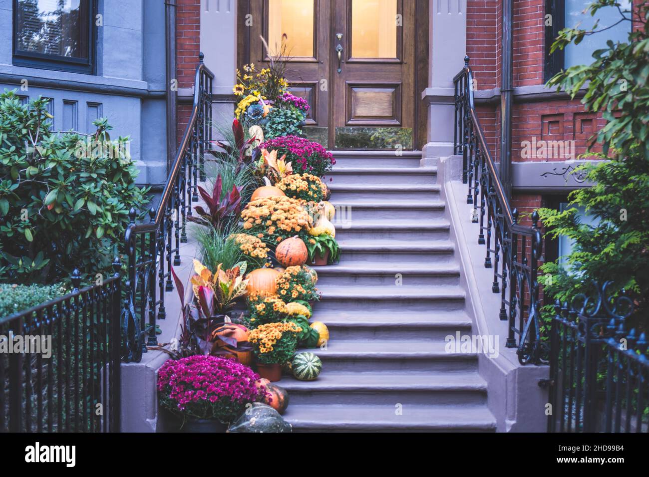 Front door decorated with plants and flowers hi-res stock photography ...