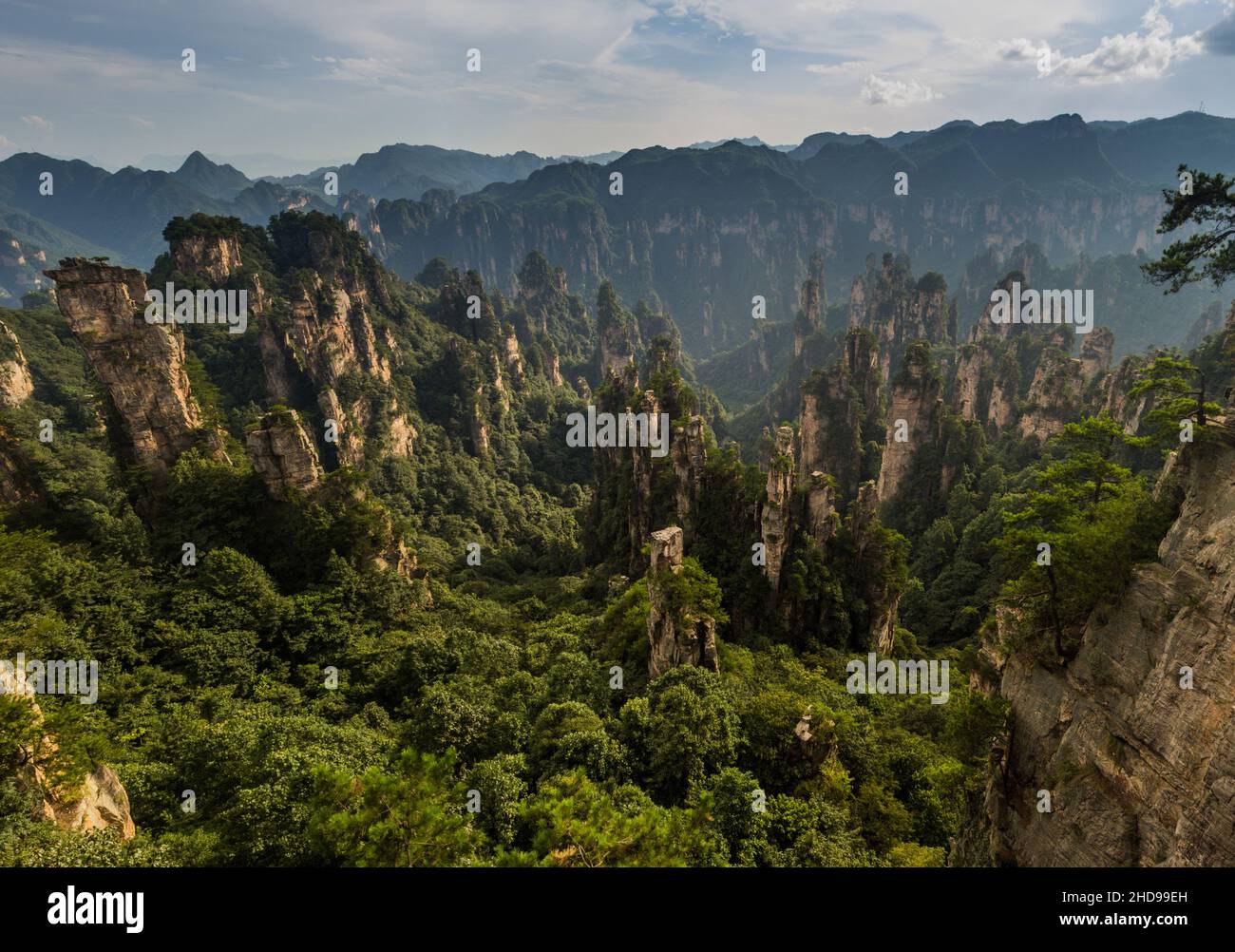 Aerial view of sandstone pillars in Wulingyuan Scenic and Historic ...