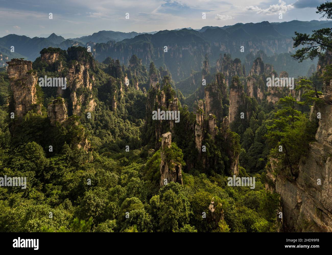 Aerial view of sandstone pillars in Wulingyuan Scenic and Historic ...