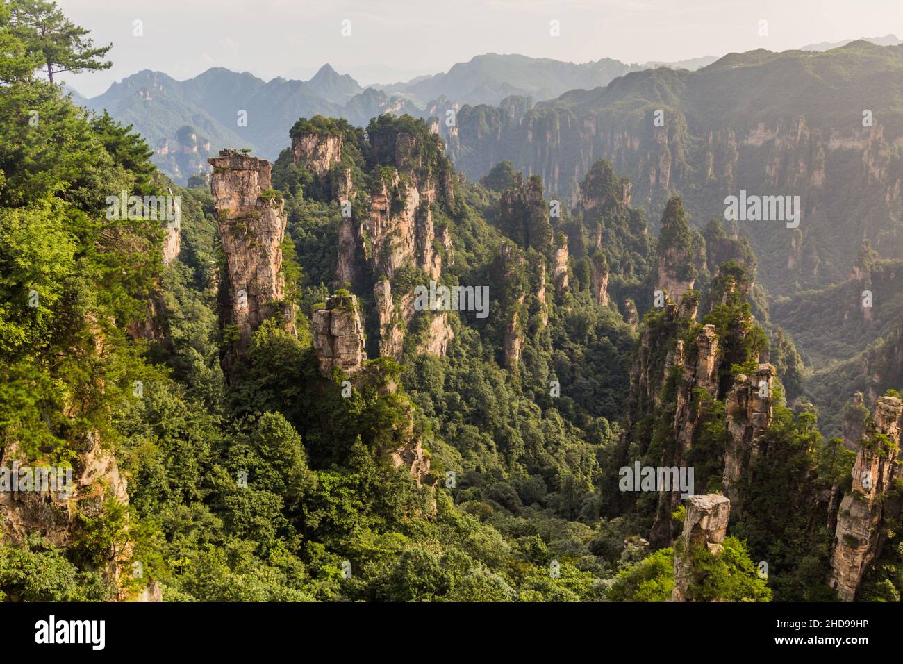 Aerial view of sandstone pillars in Wulingyuan Scenic and Historic ...
