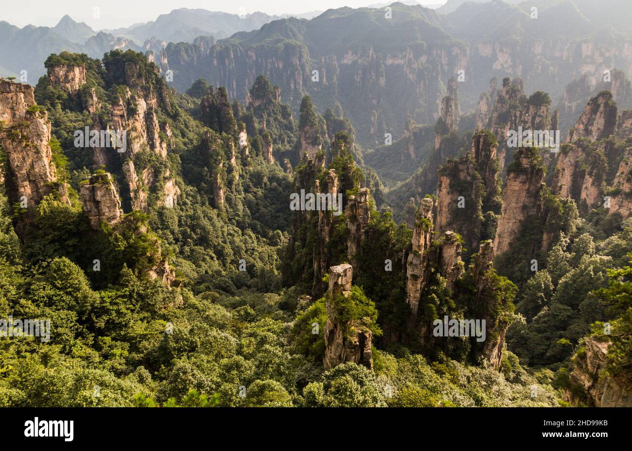Aerial view of sandstone pillars in Wulingyuan Scenic and Historic ...