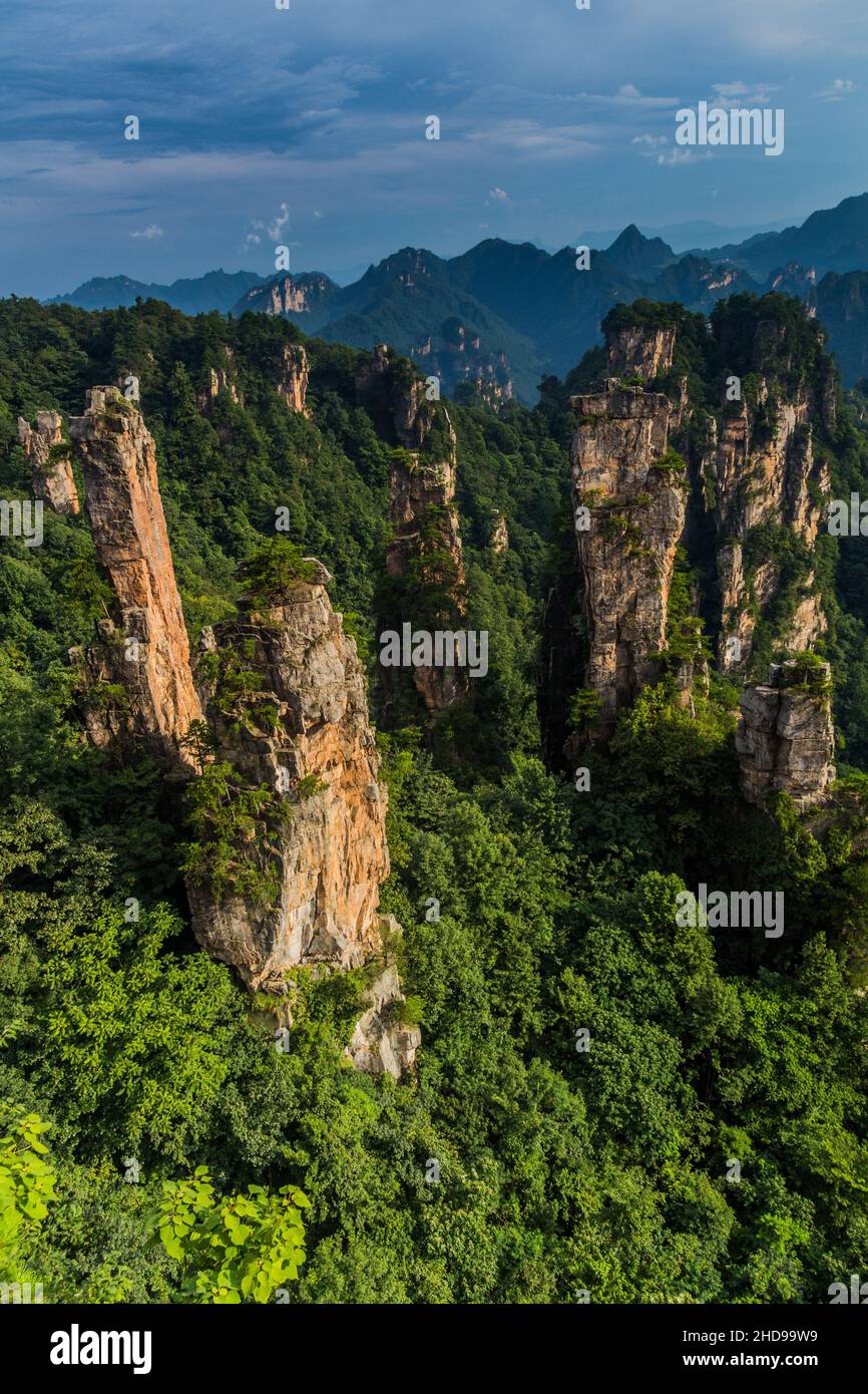 Sandstone pillar landscape in Wulingyuan Scenic and Historic Interest ...