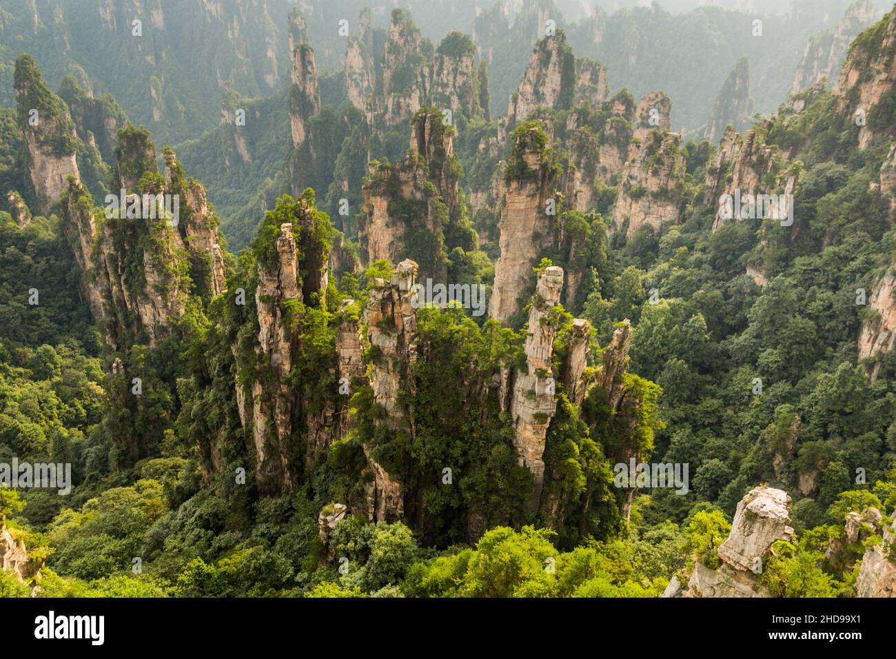 Aerial view of sandstone pillars in Wulingyuan Scenic and Historic ...