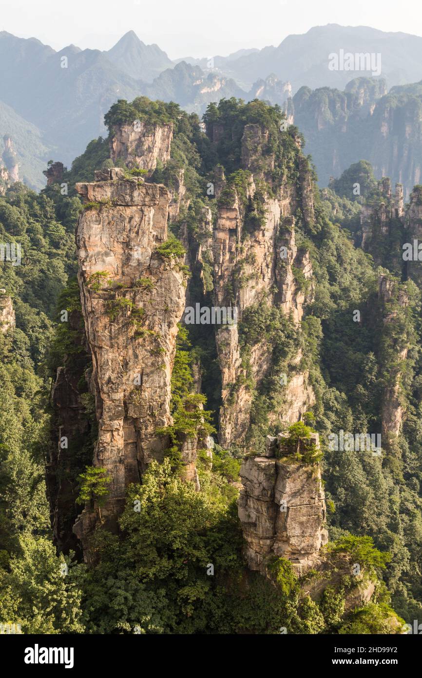 Sandstone pillars in Wulingyuan Scenic and Historic Interest Area in ...