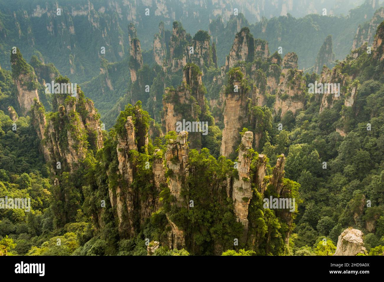 Aerial view of sandstone pillars in Wulingyuan Scenic and Historic ...