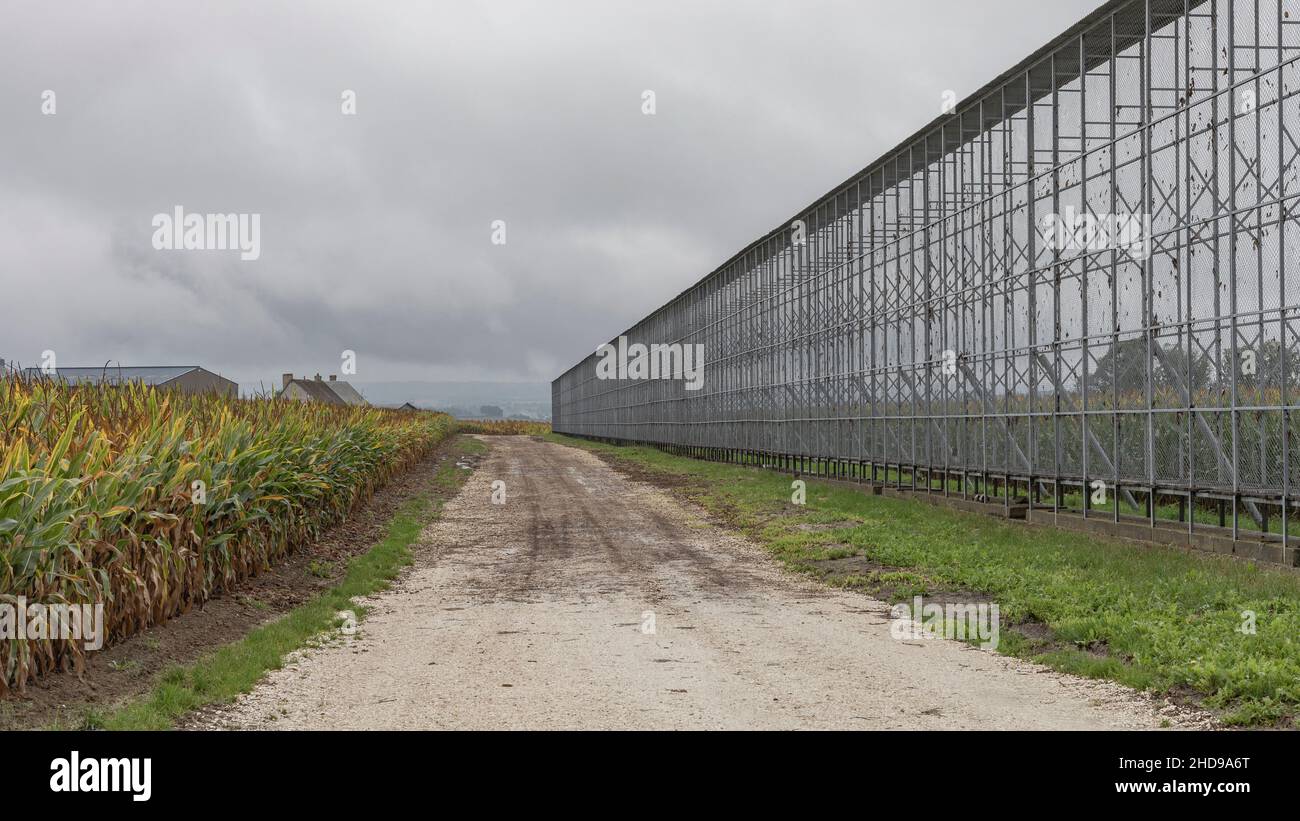 Empty cgaes used for drying maize corn cobs in an agrecultural setting ...