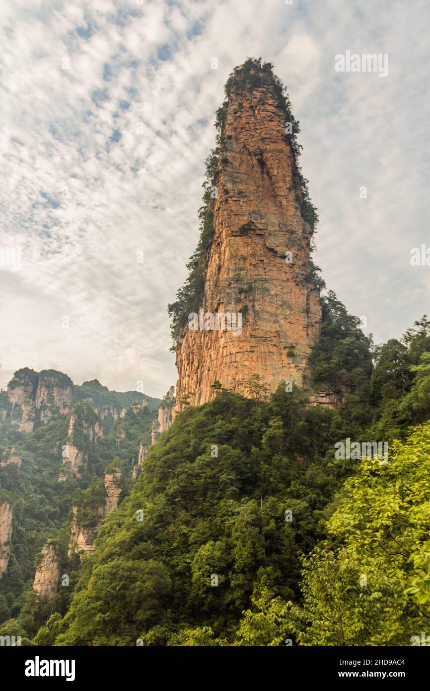 Sandstone pillar in Wulingyuan Scenic and Historic Interest Area in ...