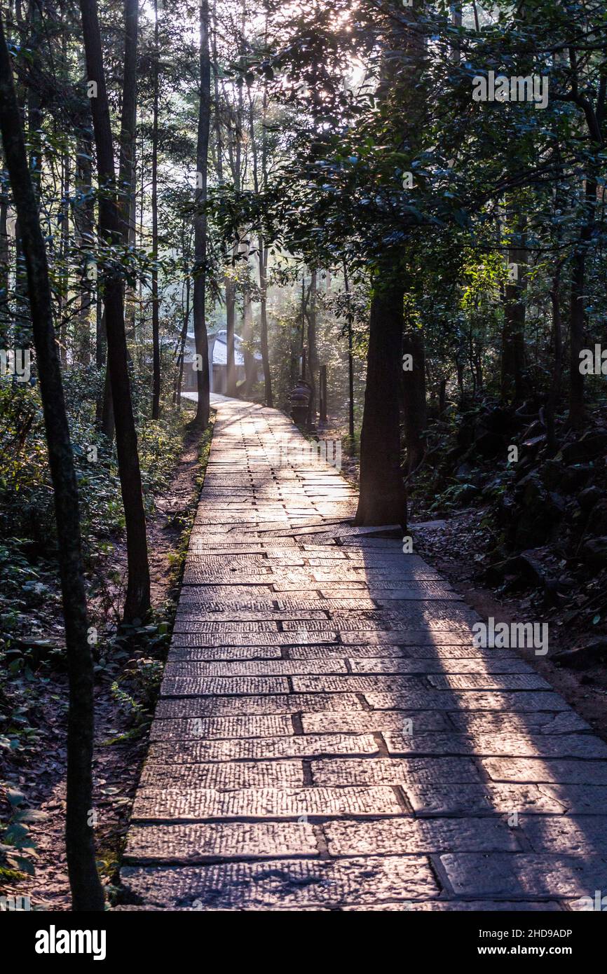 Morning view of a path in Wulingyuan Scenic and Historic Interest Area ...