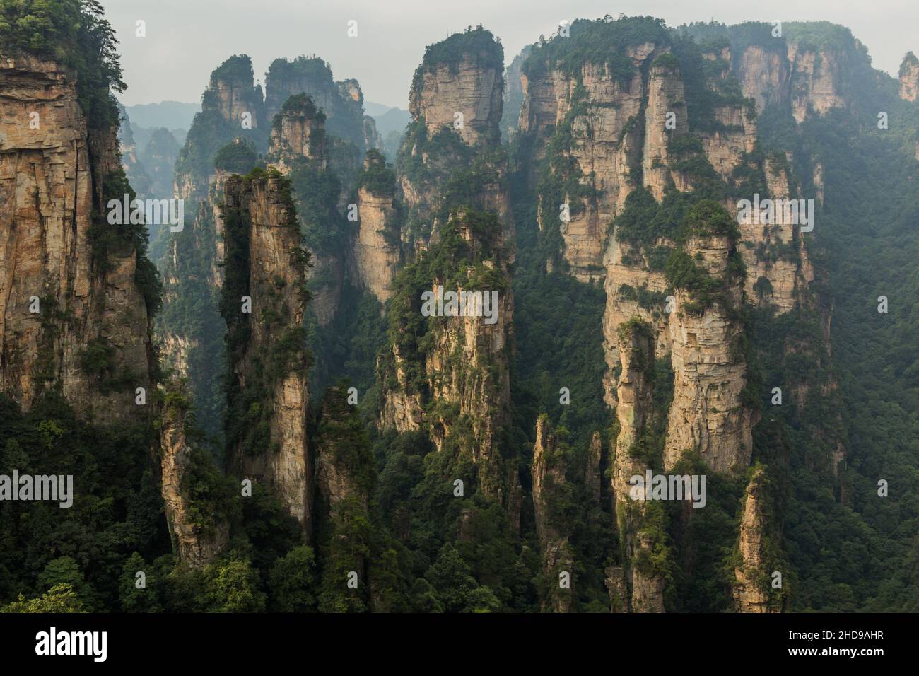 Tall sandstone pillars in Wulingyuan Scenic and Historic Interest Area ...